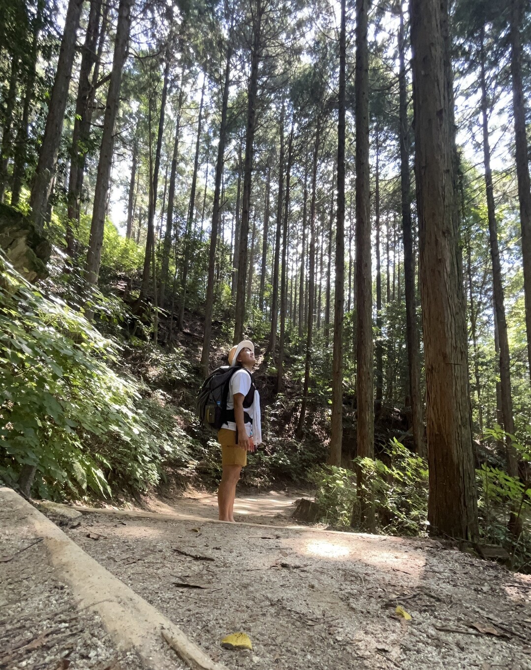 猿投山 / shihoさんの猿投山・物見山の活動データ | YAMAP / ヤマップ