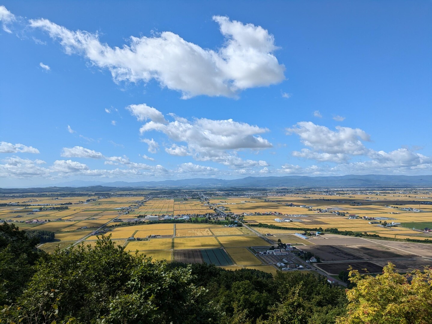 岐登牛山 / maiさんの岐登牛山の活動データ | YAMAP / ヤマップ