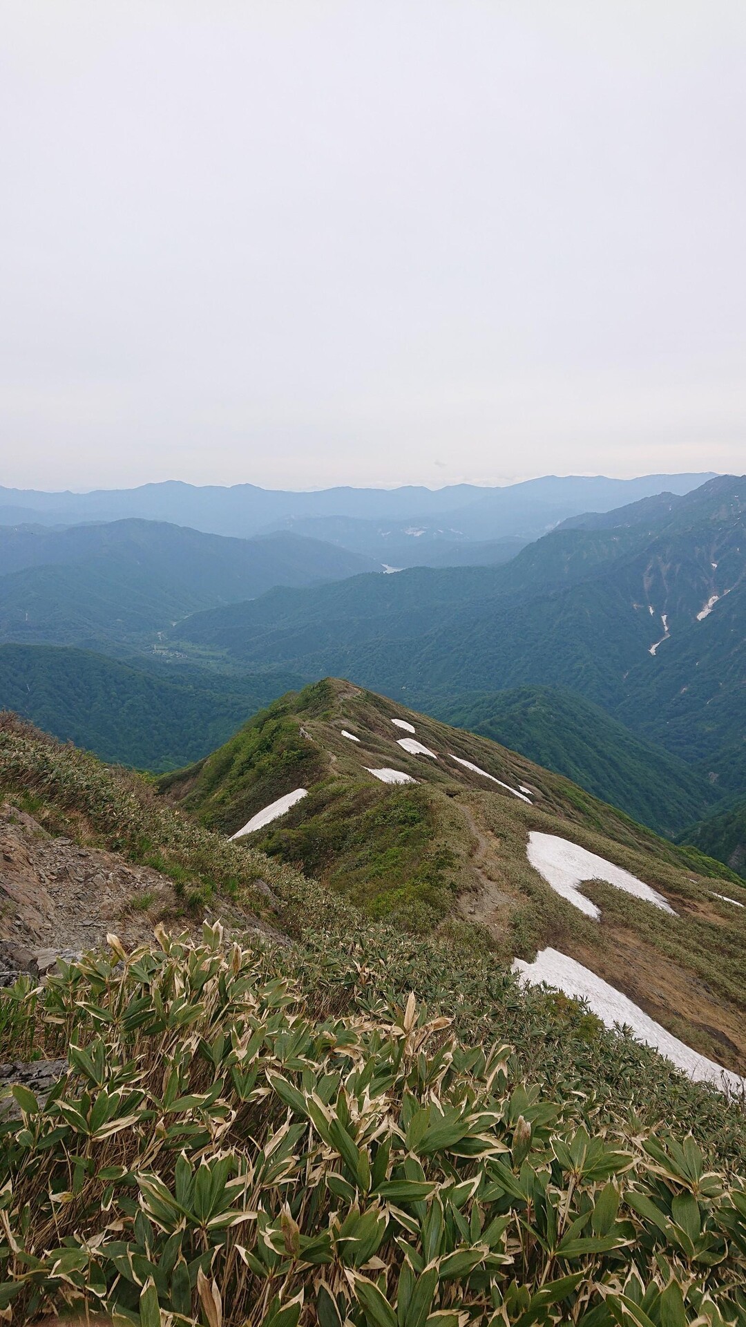 越後駒ヶ岳 / mastankさんの越後駒ヶ岳・八海山・荒沢岳の活動データ | YAMAP / ヤマップ