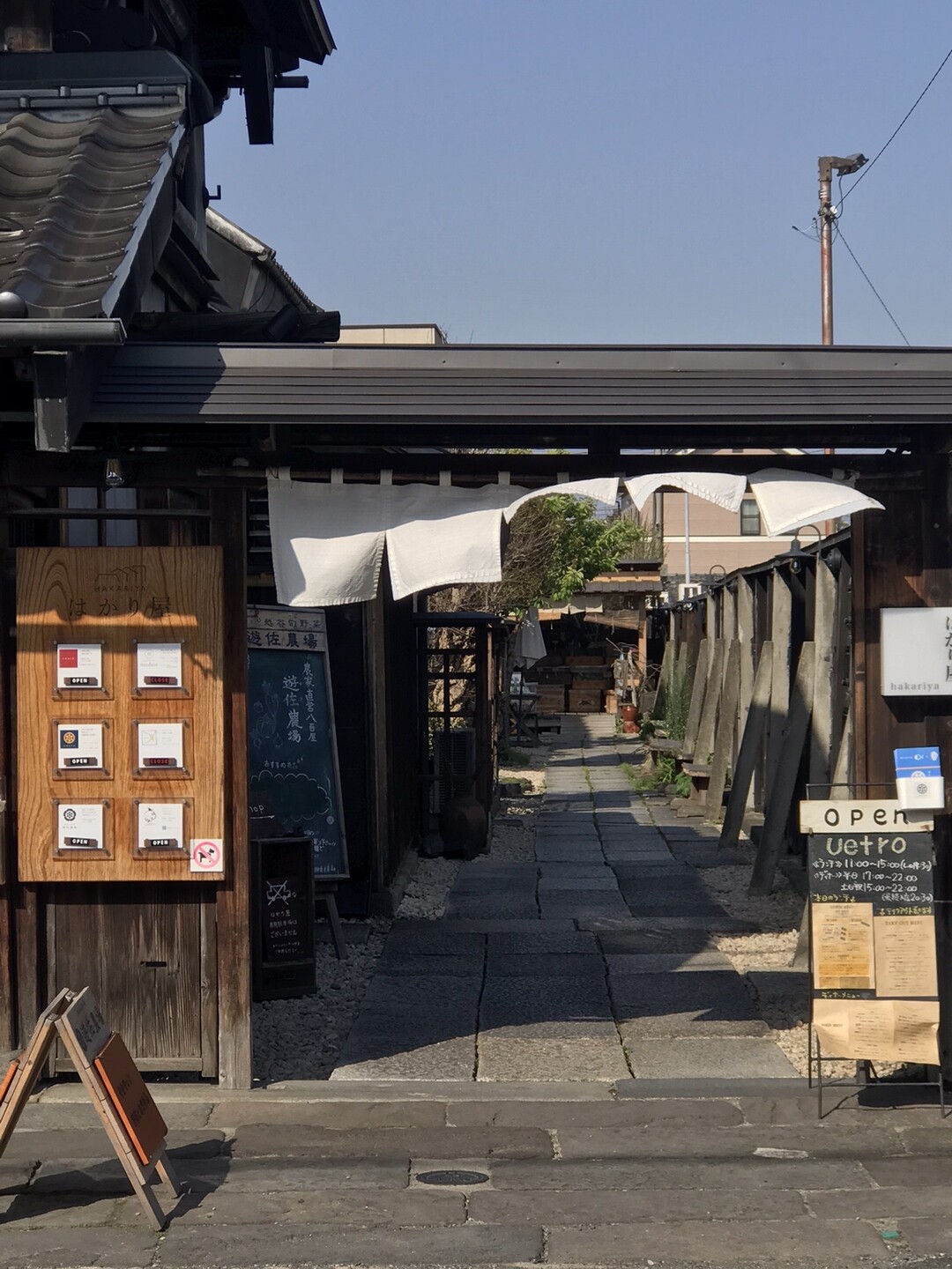 贅沢ランチ。ブラッドオレンジジュースとお... / drankmonkeyさんのモーメント | YAMAP / ヤマップ