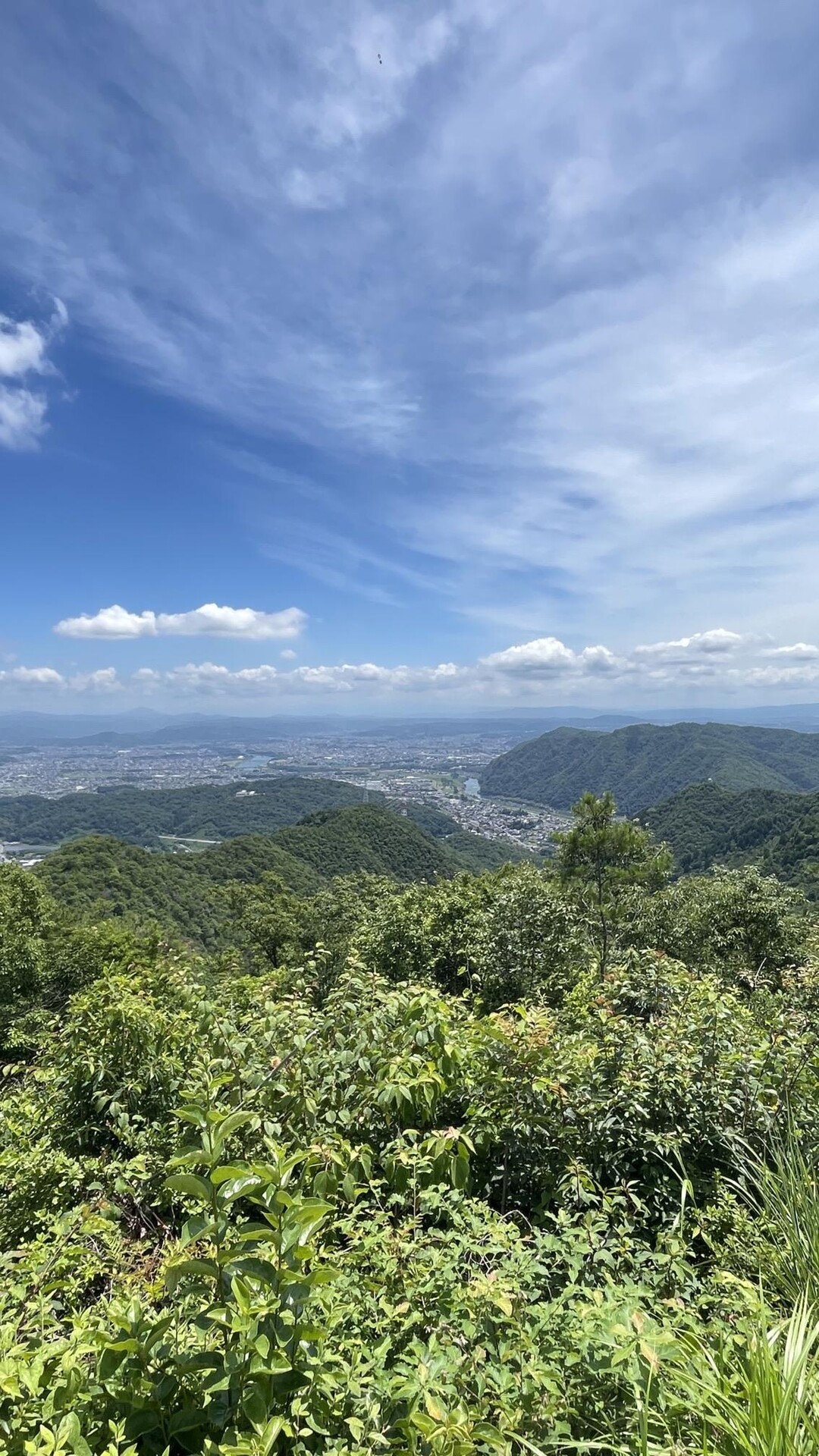 明王山 / Tom.Nさんの各務原アルプス（関南アルプス）・八木三山の活動データ | YAMAP / ヤマップ