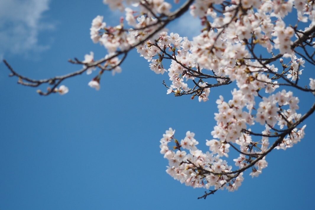 休みとお天気が合わず泣ける😭😭😭 ... / momoさんのモーメント | YAMAP / ヤマップ