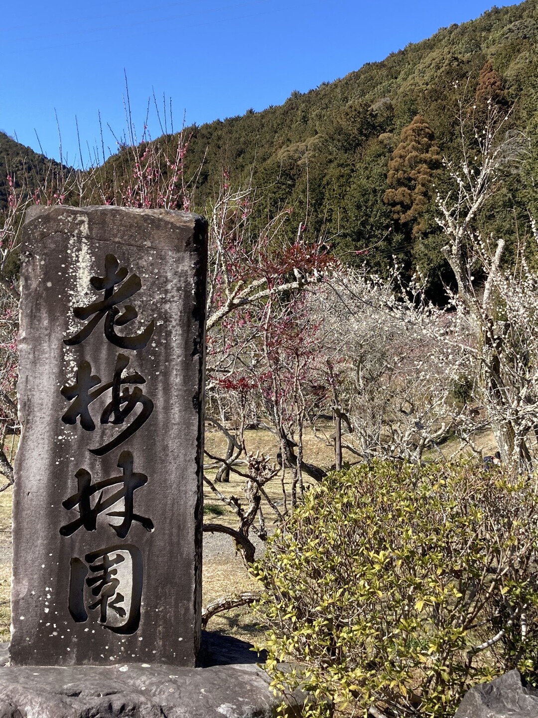 洞慶院 / Tigerさんのモーメント | YAMAP / ヤマップ