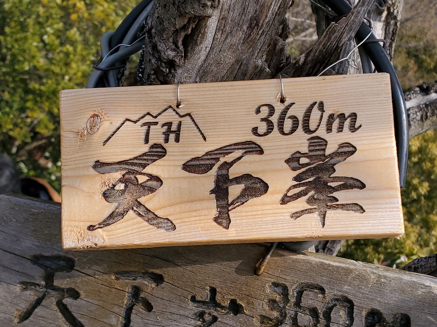 天下峯・梟ヶ城址展望台 / ayatonさんの六所山・炮烙山の活動データ | YAMAP / ヤマップ