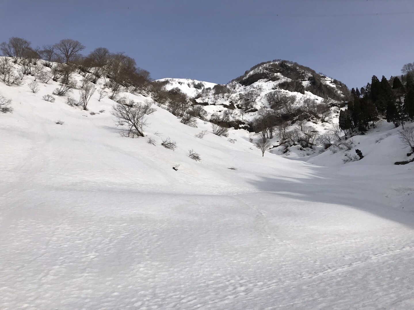 越前甲 敗退 YAMAP、ひと月に2回... / 山と川のかんちゃんさんのモーメント | YAMAP / ヤマップ