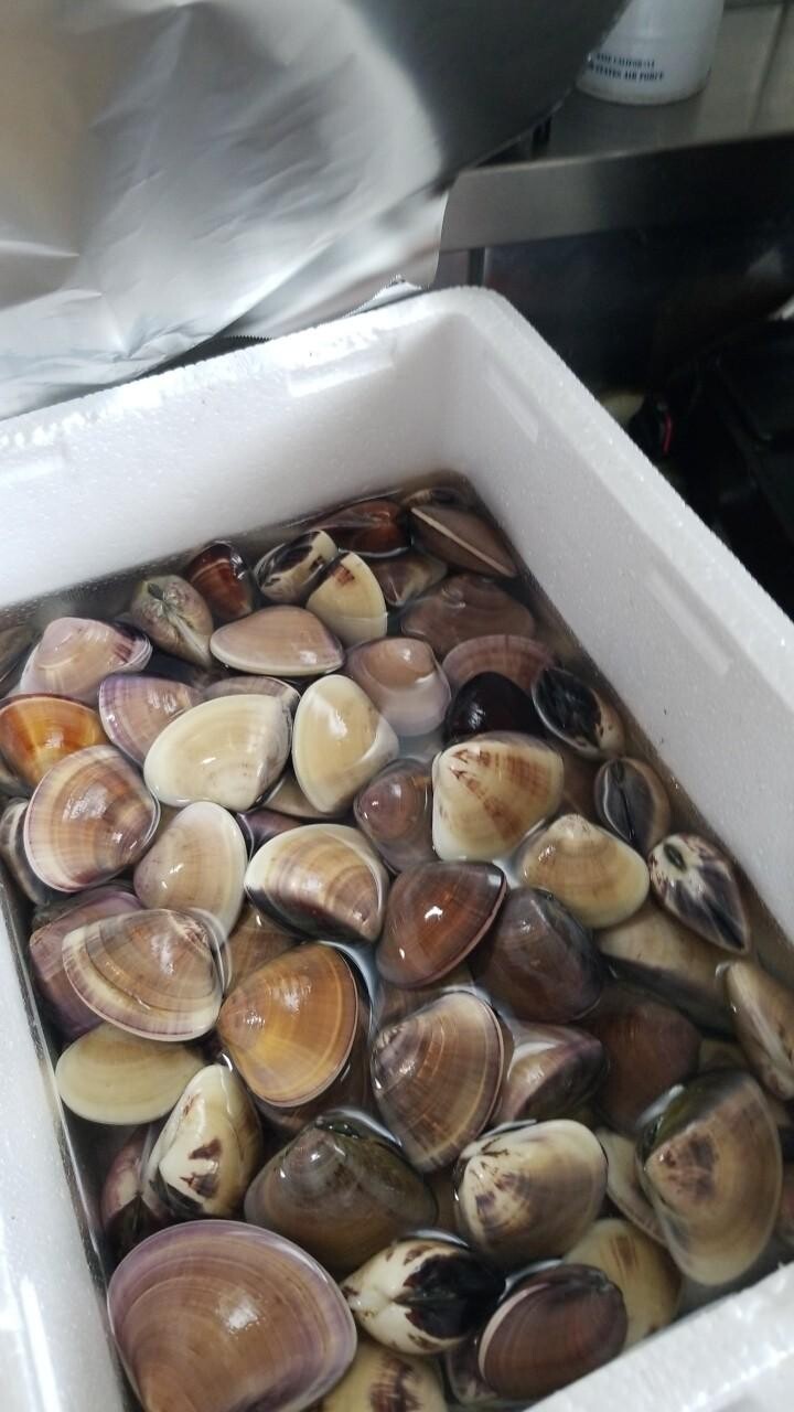 ハマグリまつりpart2🐚 / ちゃみ太郎さんのモーメント | YAMAP / ヤマップ