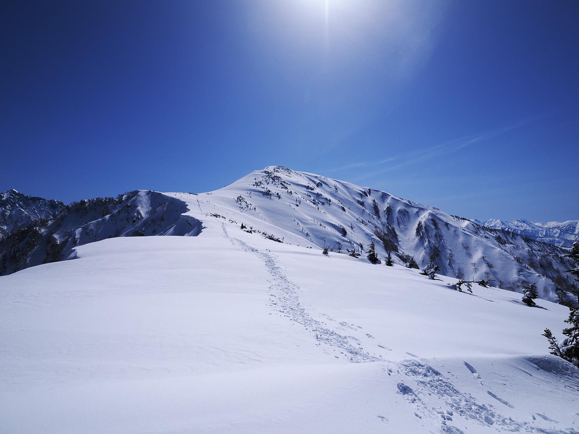 前大日岳〜早乙女岳（北ア） / JunJunさんの立山・雄山・浄土山の活動データ | YAMAP / ヤマップ