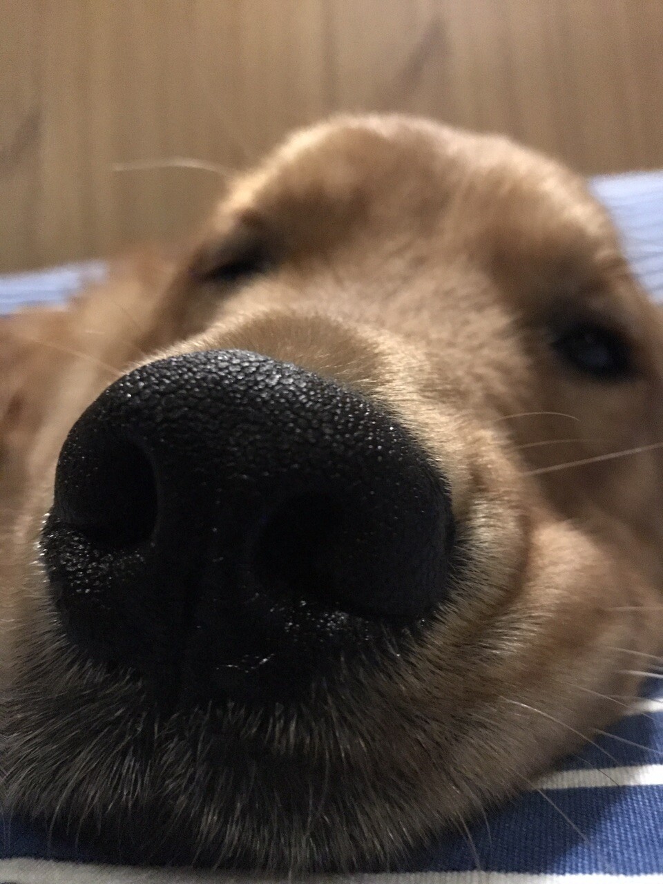 kaoruのページ | YAMAP / ヤマップ