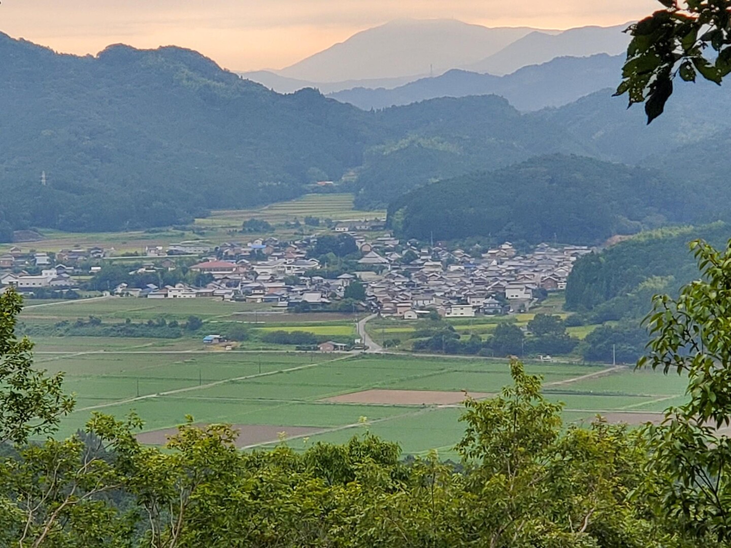 ひよどり城址266m / あまやんさんの烏岳の活動日記 | YAMAP / ヤマップ