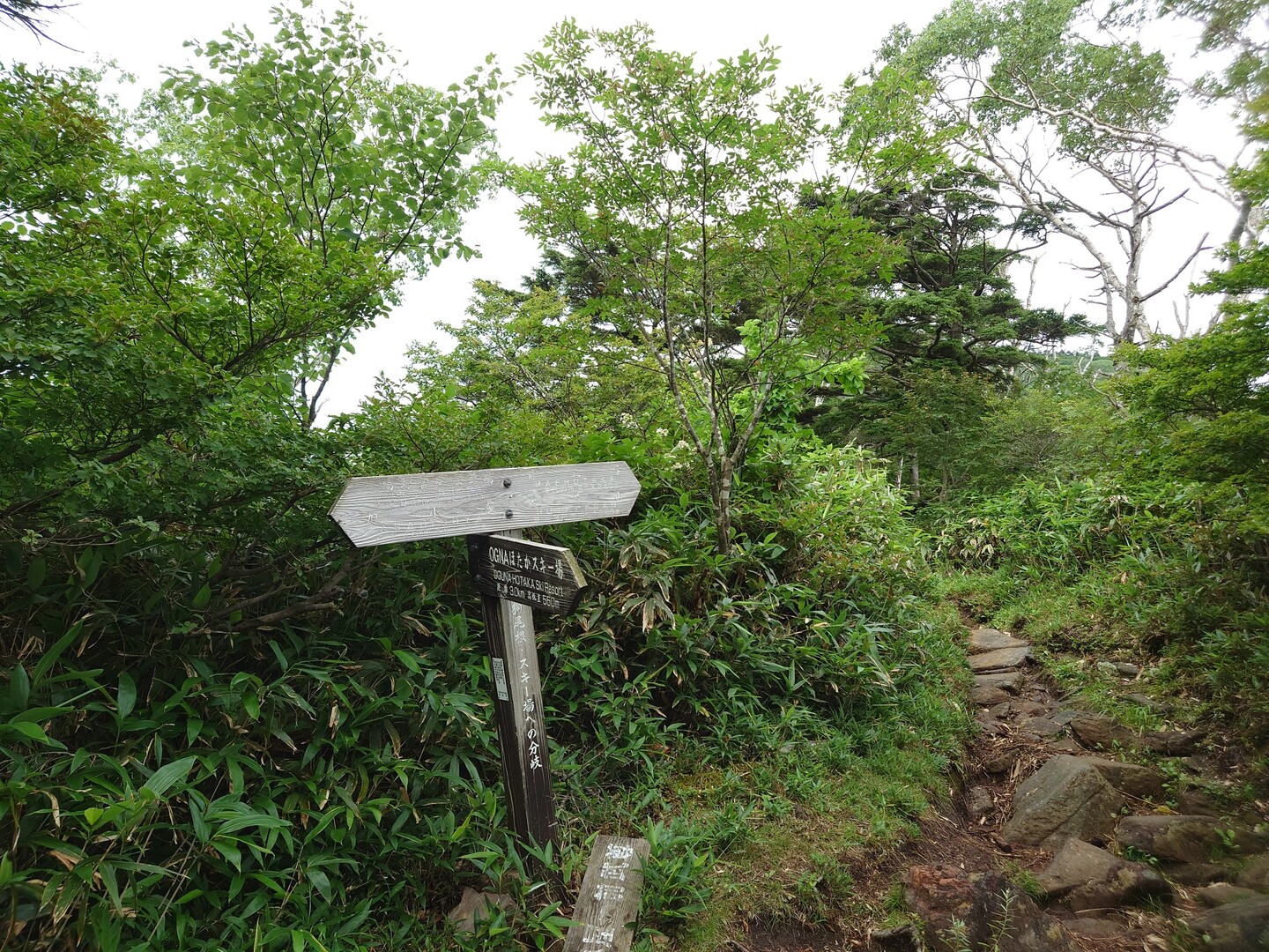 HiroNagさんの投稿したフィールドメモ | YAMAP / ヤマップ