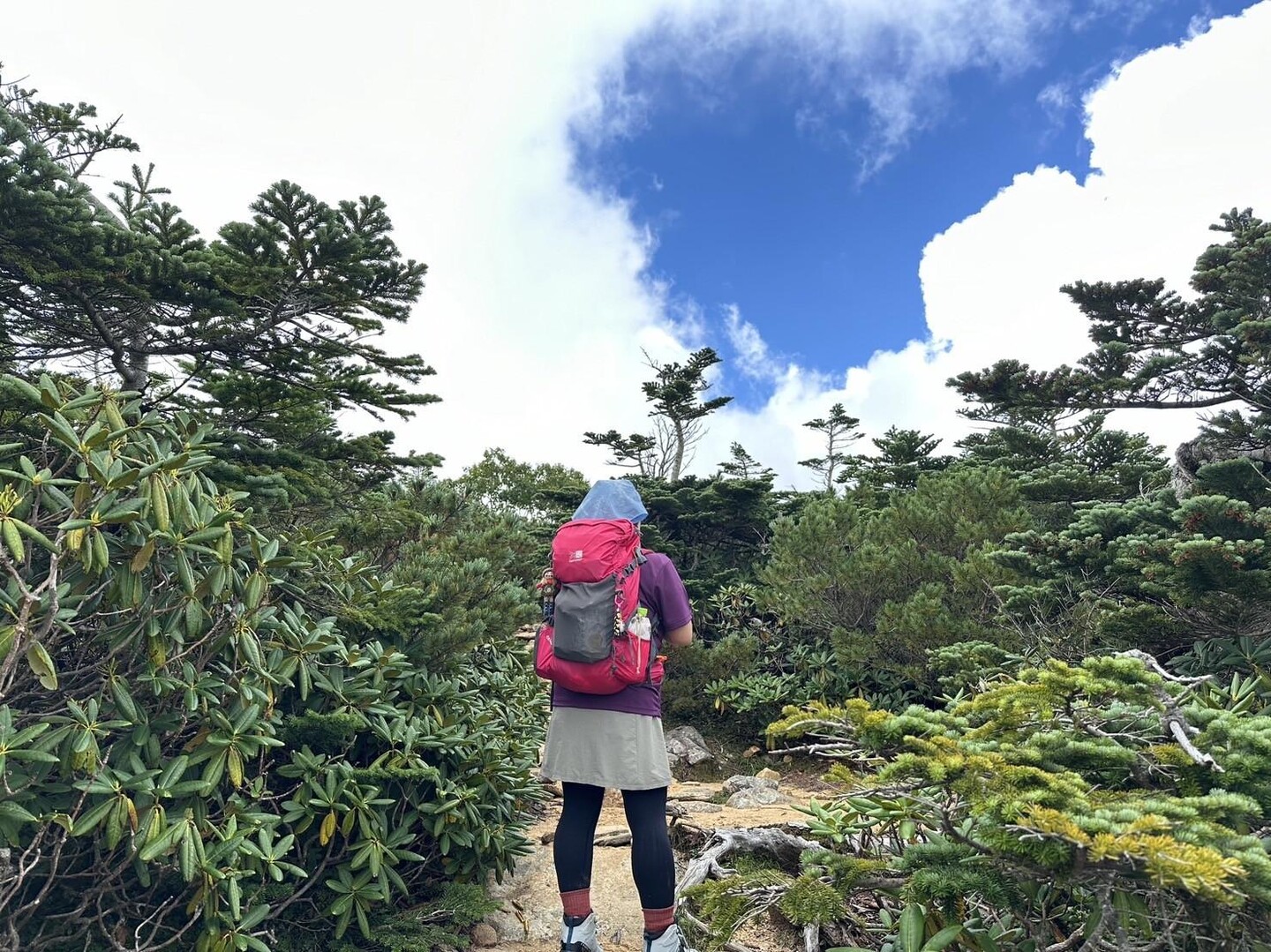 苔ときのこの金峰山🍄 / kumakoさんの瑞牆山・金峰山の活動データ | YAMAP / ヤマップ