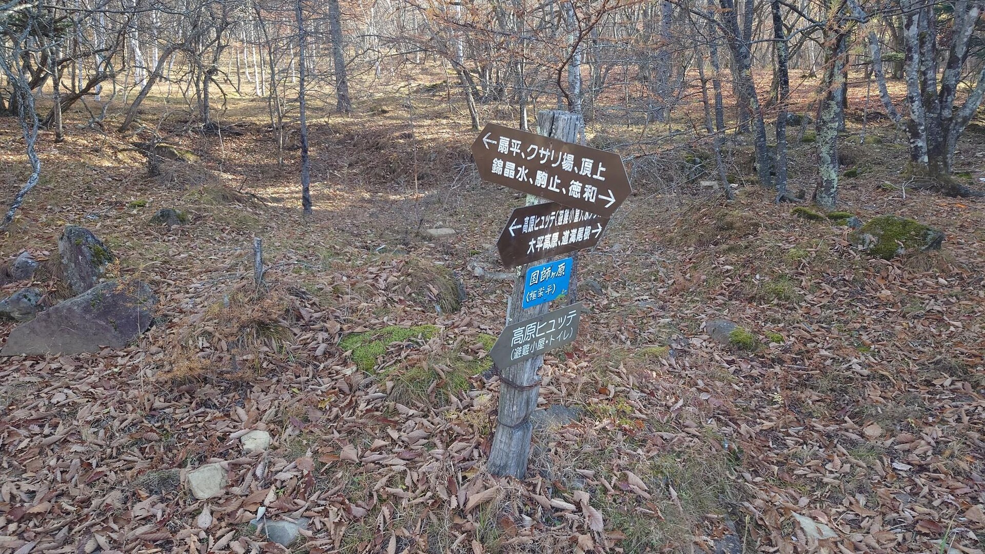 Fumiさんの投稿したフィールドメモ | YAMAP / ヤマップ