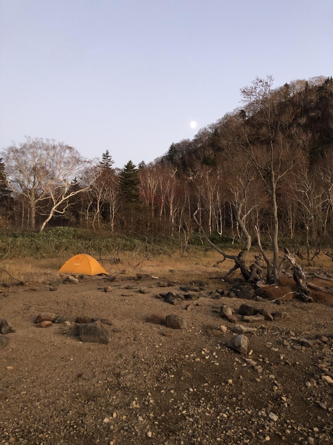 札幌岳・空沼岳-2024-10-13 Climb to Camp / lpninjaさんの札幌岳・空沼岳の活動データ | YAMAP / ヤマップ