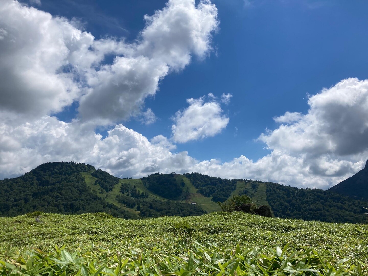 前山・志賀山・裏志賀山 / JIMさんの横手山・志賀山・赤石山の活動データ | YAMAP / ヤマップ