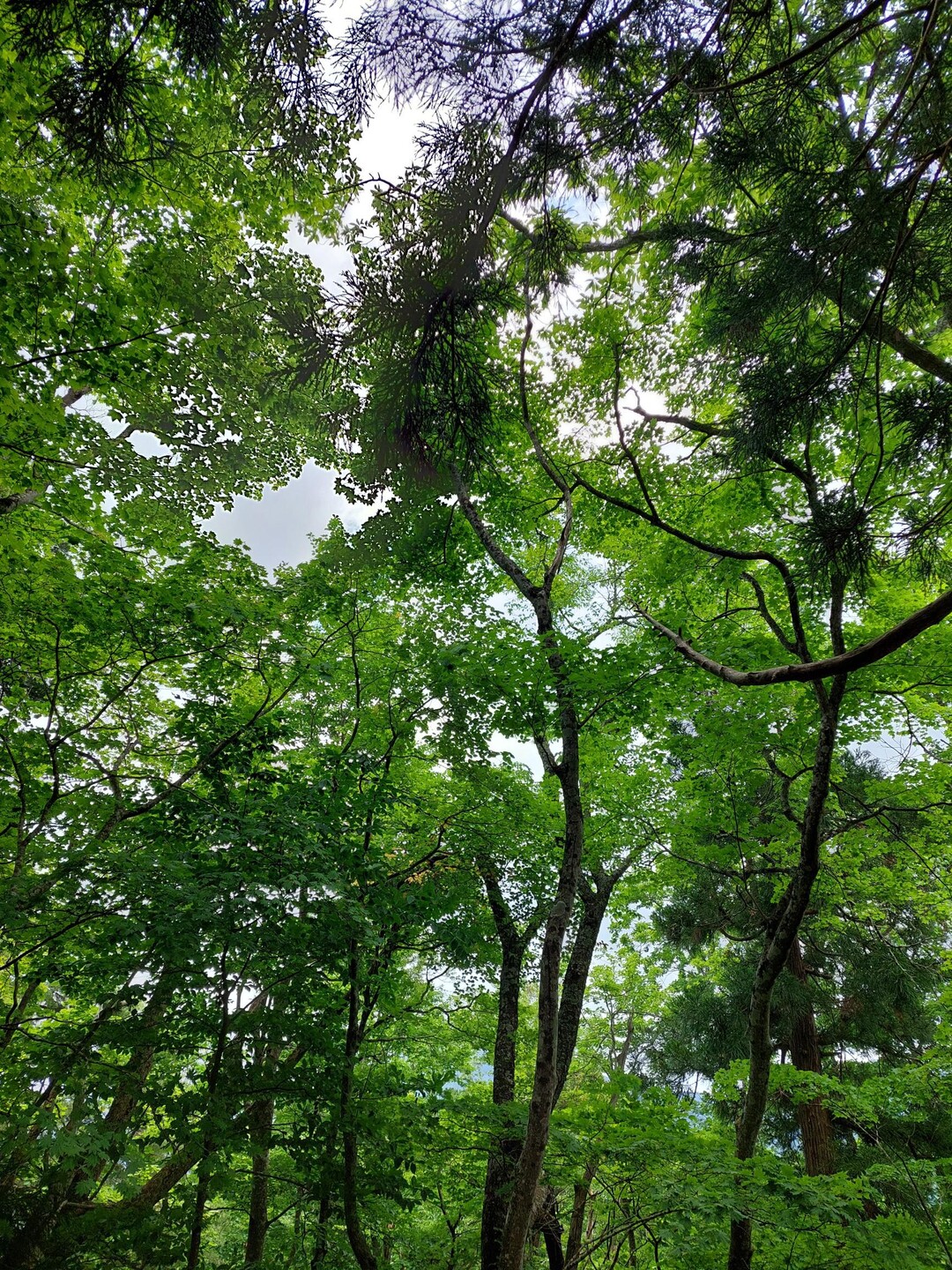 KOUのページ | YAMAP / ヤマップ