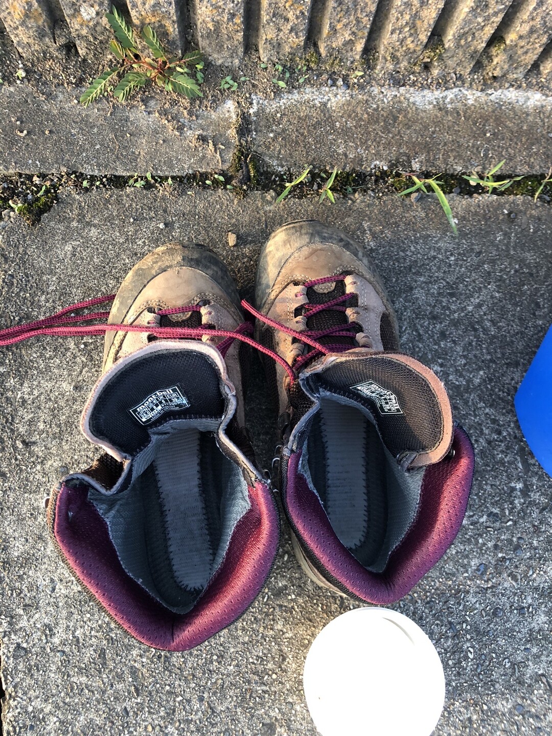 登山靴が、私の汗で水没しました… / rumichocoさんのモーメント | YAMAP / ヤマップ