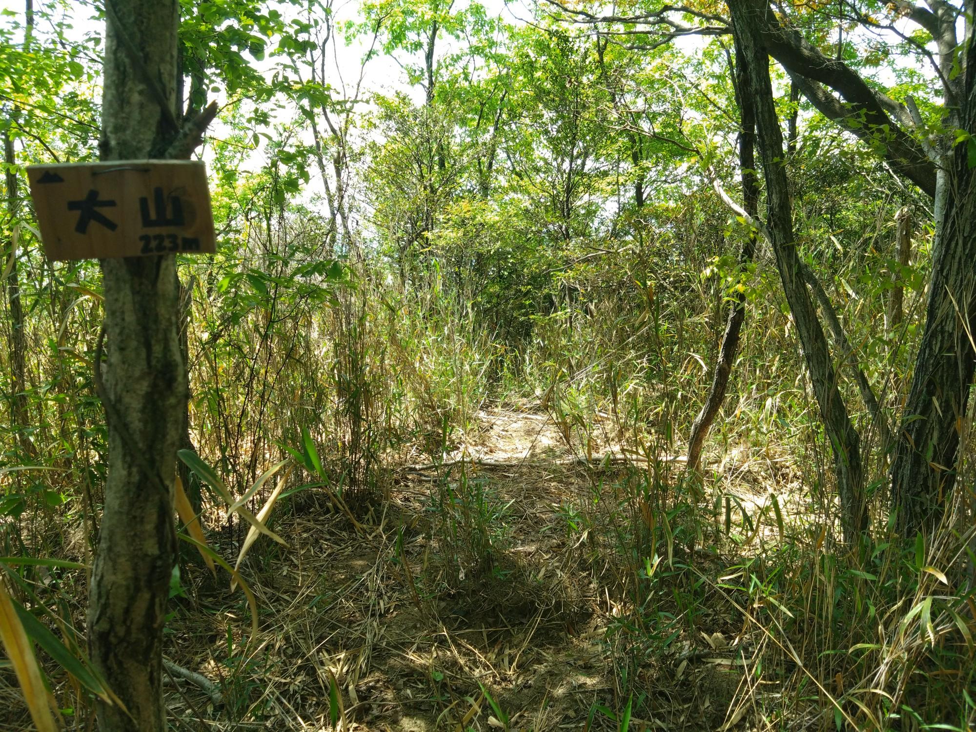 ⑩大山🙅 / クンクン007さんの王子が岳・神登山・臥竜山の活動データ | YAMAP / ヤマップ