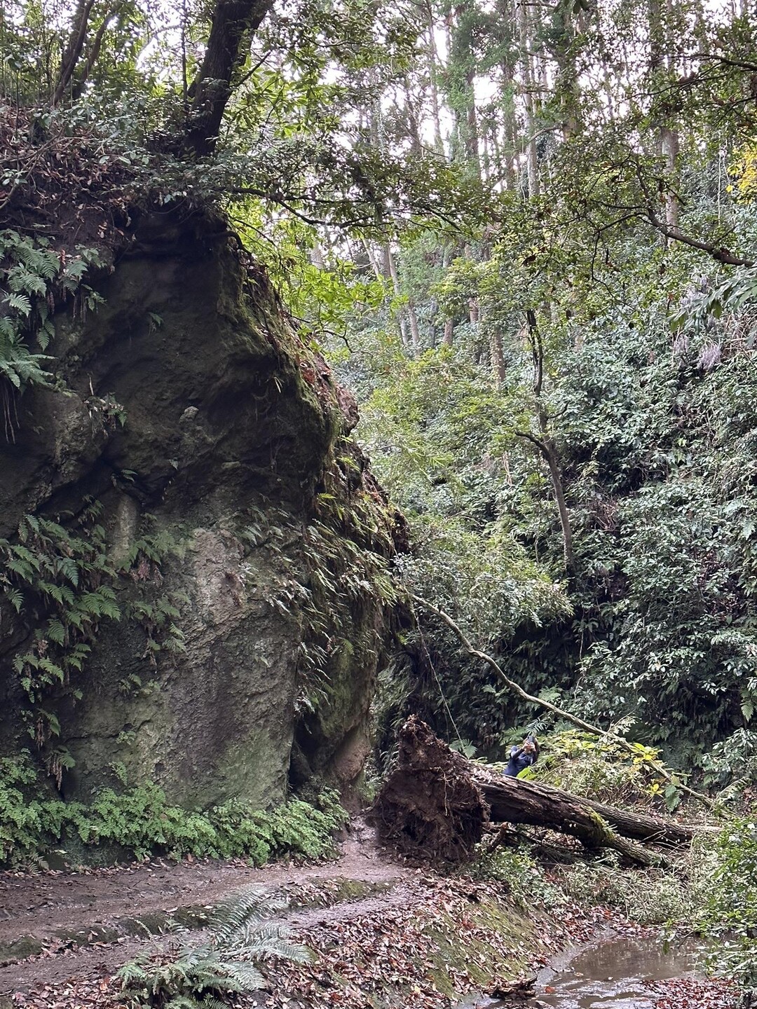 Maru（おっきー）さんの投稿したフィールドメモ | YAMAP / ヤマップ