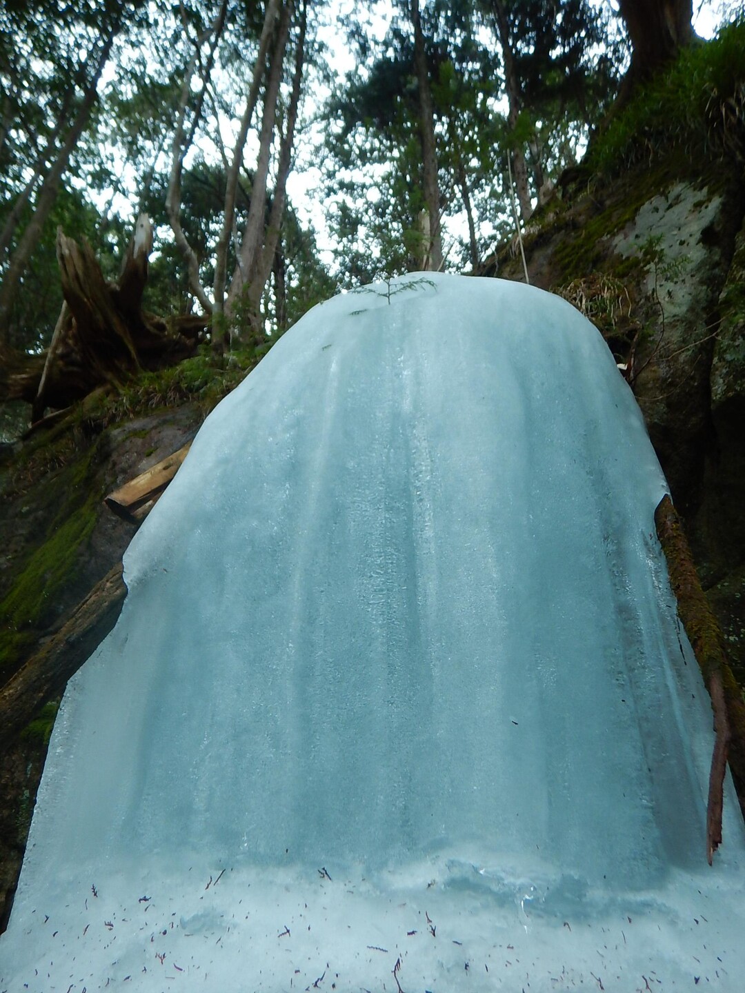 【中濃】新巣山の謎③ 寒陽気山(1108m) 新巣(931m) / もりさとさんの登山の活動データ | YAMAP / ヤマップ