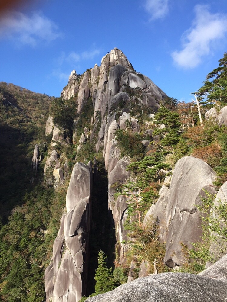 大崩山 / ORIBAさんの大崩山・五葉岳・新百姓山の活動データ | YAMAP / ヤマップ
