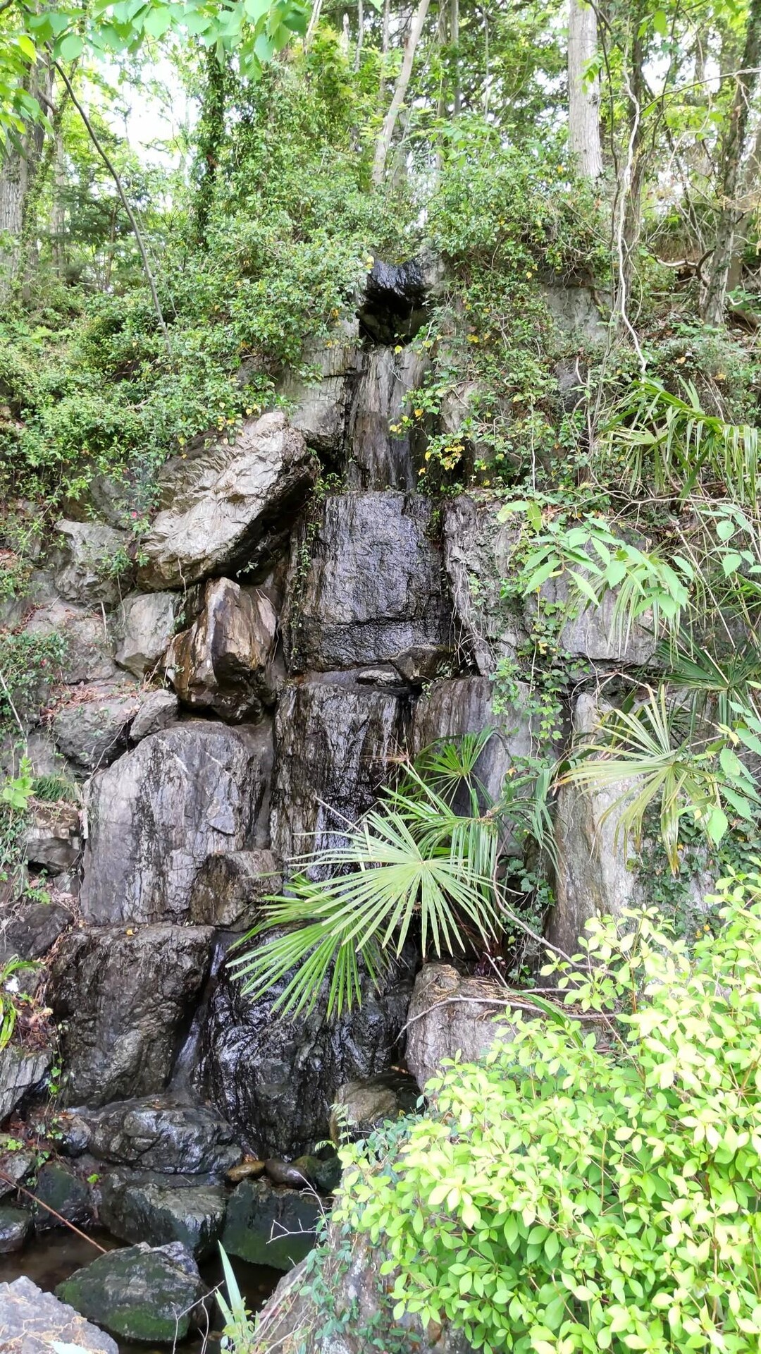 GWなので羊山公園→少林寺の牡丹→長瀞の... / デリューヌさんのモーメント | YAMAP / ヤマップ