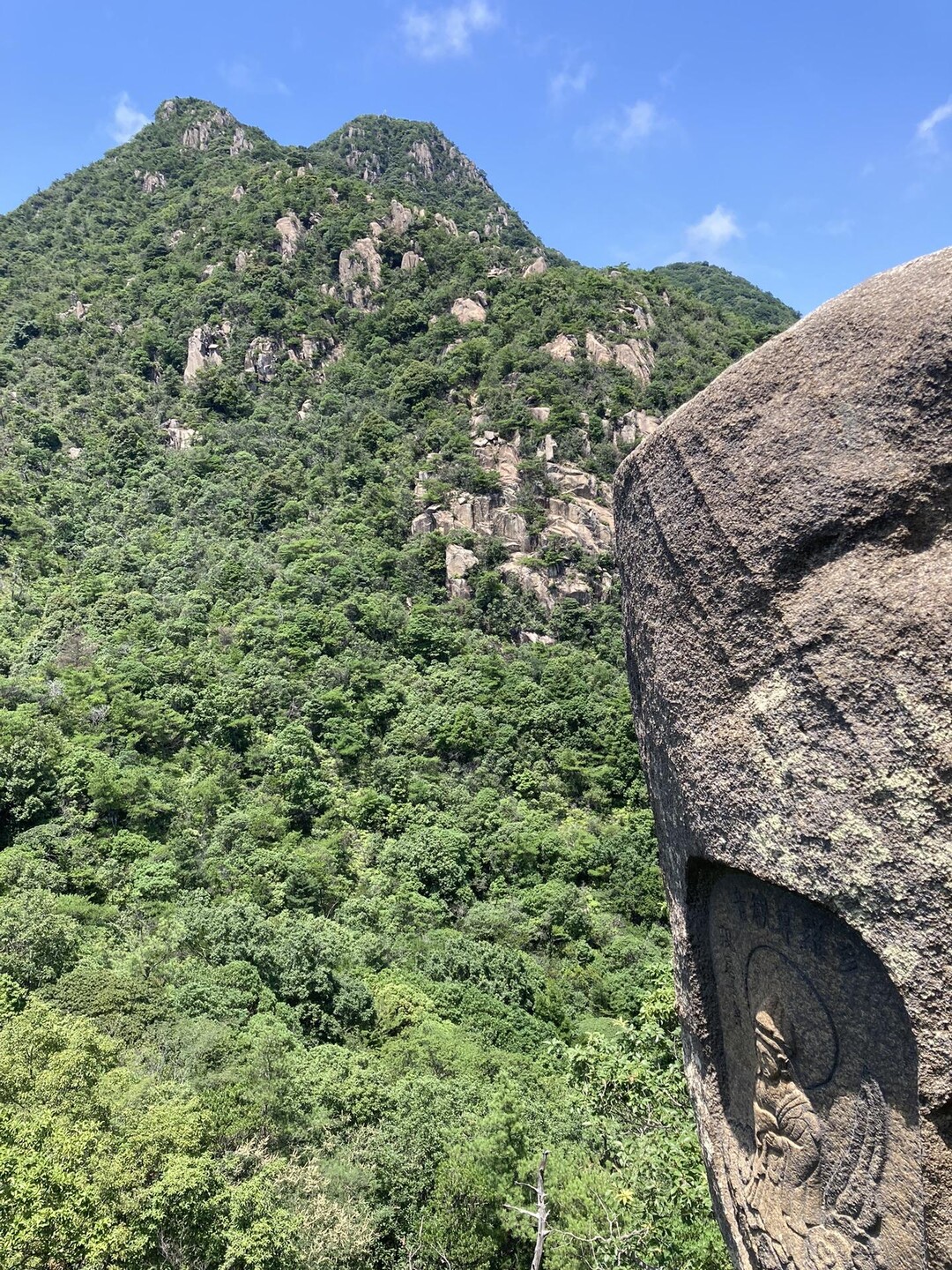 20230716右田ヶ岳 / 鴨鹿平さんの右田ヶ岳・西目山・楞厳寺山の活動データ | YAMAP / ヤマップ