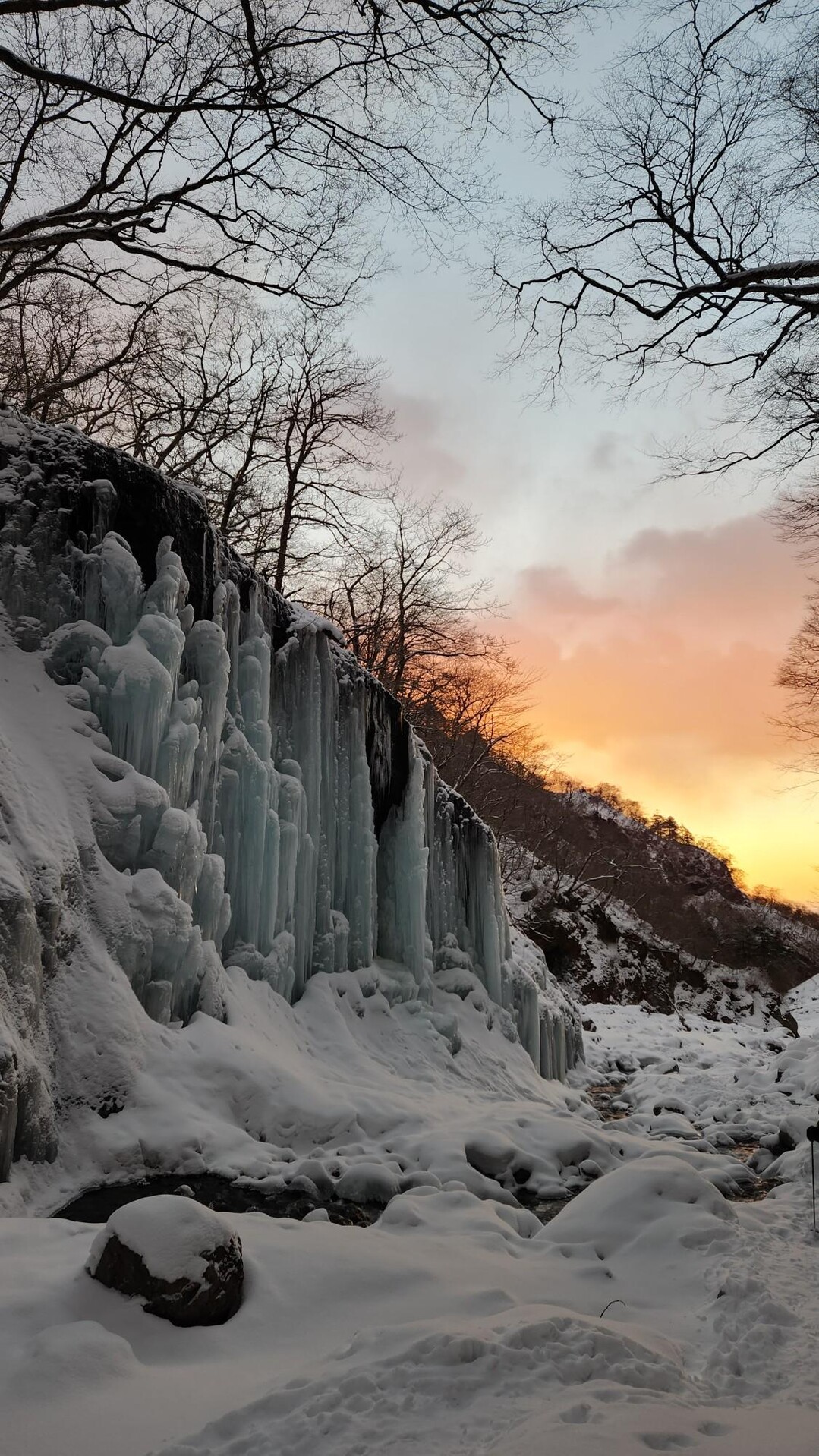 2025-02-07 雲竜渓谷 山歩 / HISA さんの女峰山・赤薙山・大真名子山の活動日記 | YAMAP / ヤマップ