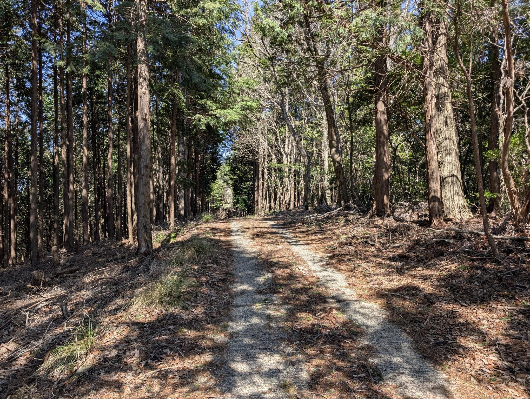 ピークハント：点688 SOTA#JA/NR-071 / solo＊walker/midoさんのウォーキングの活動データ | YAMAP / ヤマップ