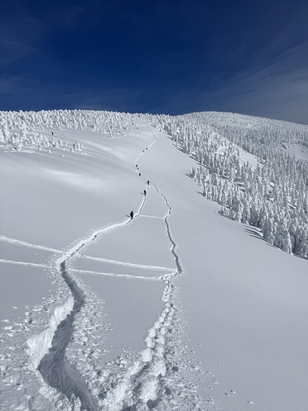 西大巓・西吾妻山 / muugさんの吾妻山・一切経山の活動データ | YAMAP / ヤマップ