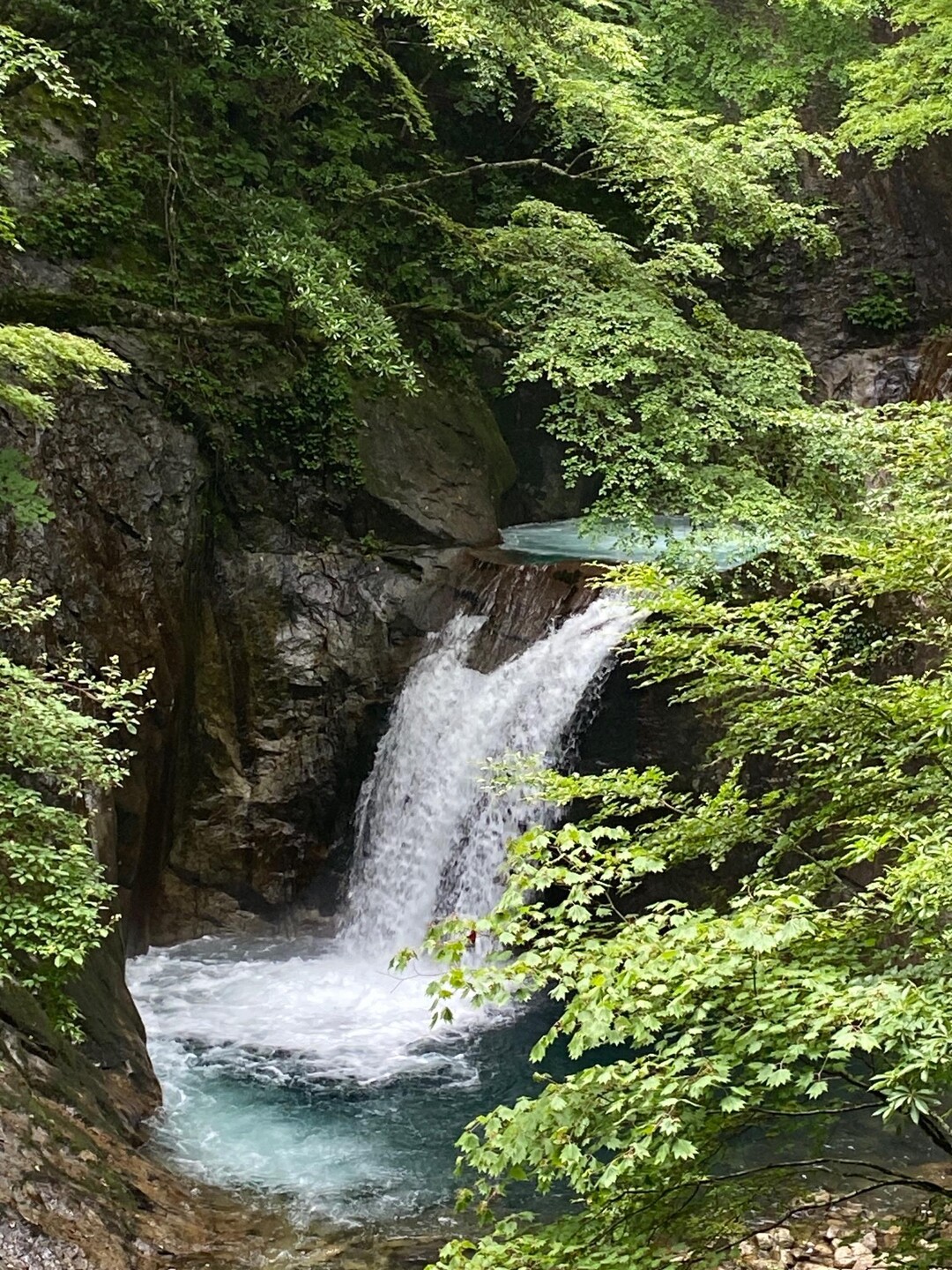 西沢渓谷 / Myaccoroさんの甲武信ヶ岳の活動日記 | YAMAP / ヤマップ