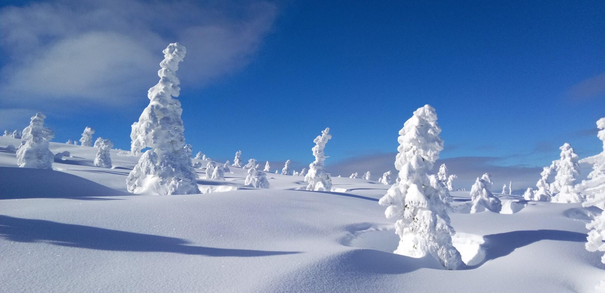 横岳BC / katuさんの八甲田山・高田大岳・雛岳の活動データ | YAMAP / ヤマップ