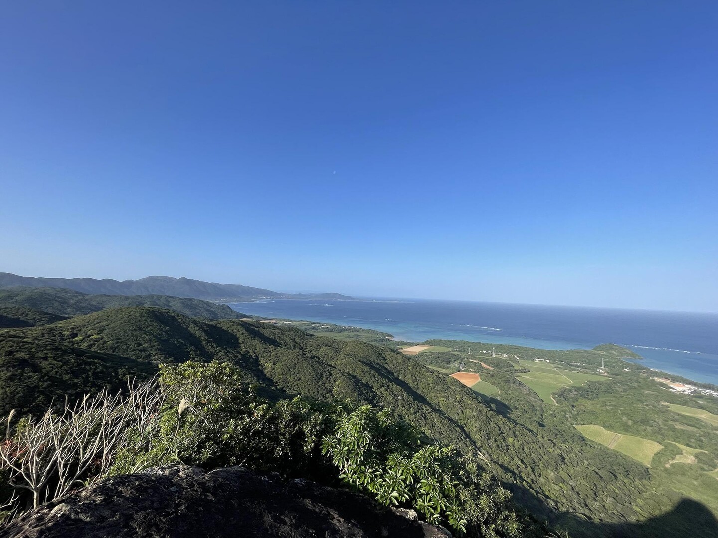 今年も来たよ野底岳⛰️ / ktさんの石垣島 北部の活動データ | YAMAP / ヤマップ