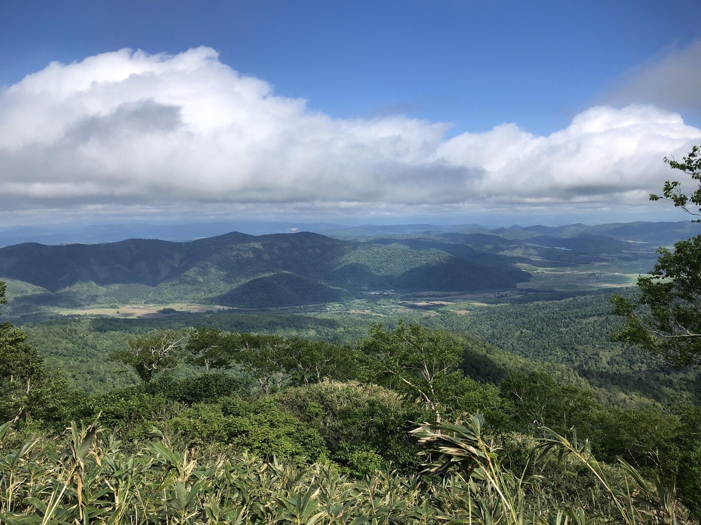 三頭山 あわや、 / taikaと銀子さんの三頭山の活動データ | YAMAP / ヤマップ
