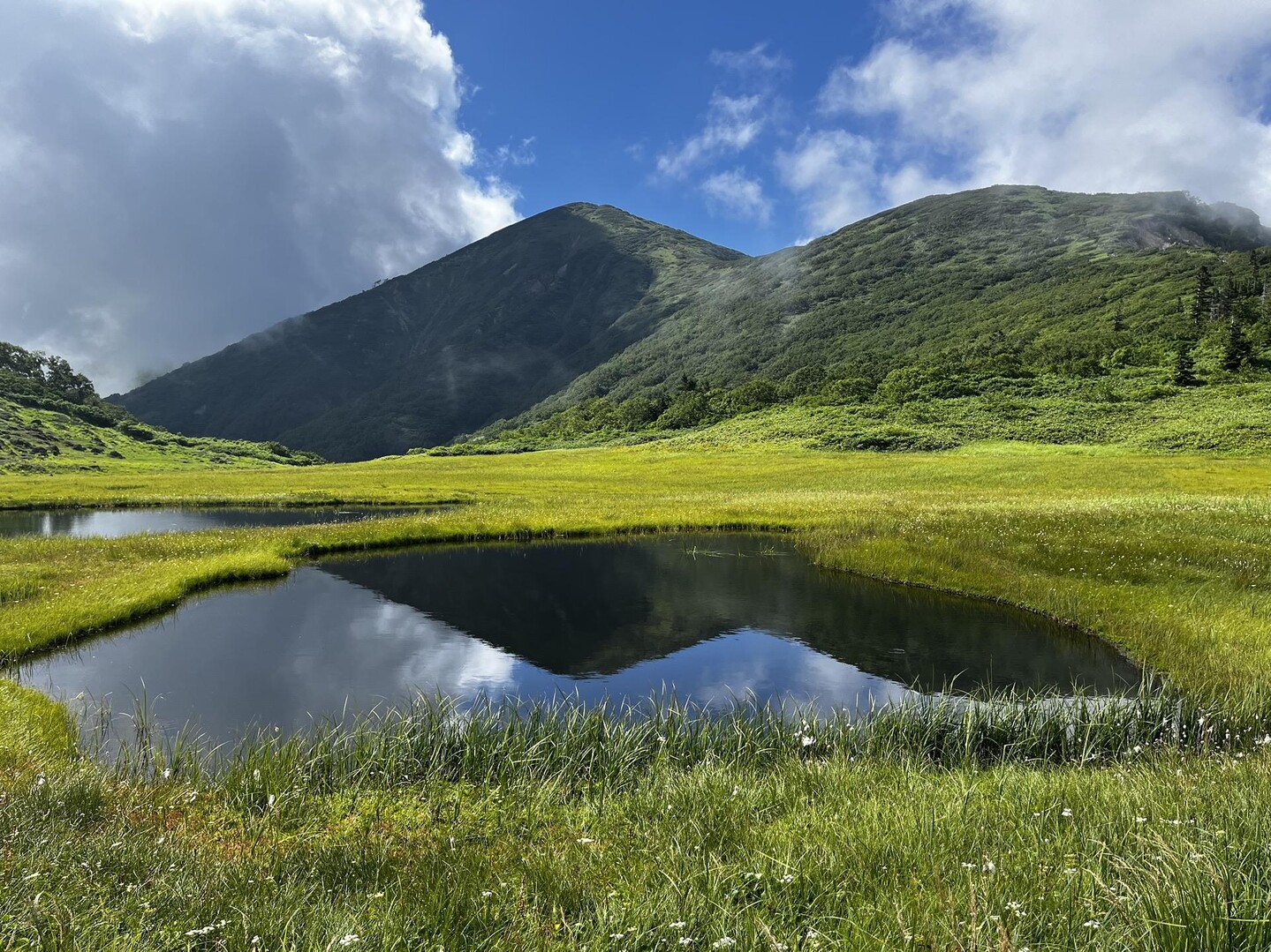 火打山・茶臼山 / ma-yuさんの妙高山・火打山の活動データ | YAMAP / ヤマップ