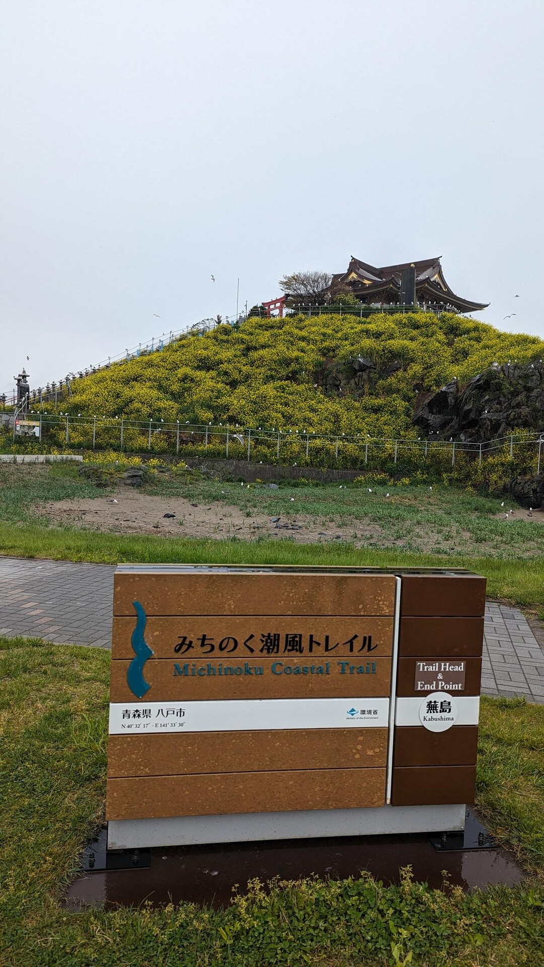 5/7 - MCT 蕪島から種差海岸まで / Qさんのみちのく潮風トレイル 八戸市ルートの活動データ | YAMAP / ヤマップ