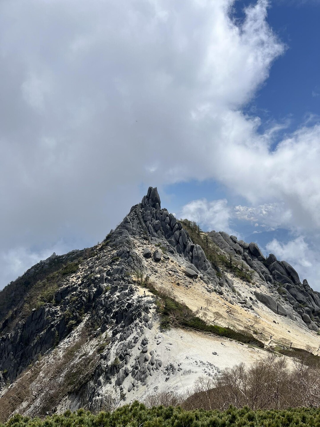 鳳凰三山 3,000m級登山の教訓 2024-06-08 / すーじー / steepbrew さんの鳳凰山・地蔵岳・観音岳・薬師岳の活動日記 | YAMAP / ヤマップ