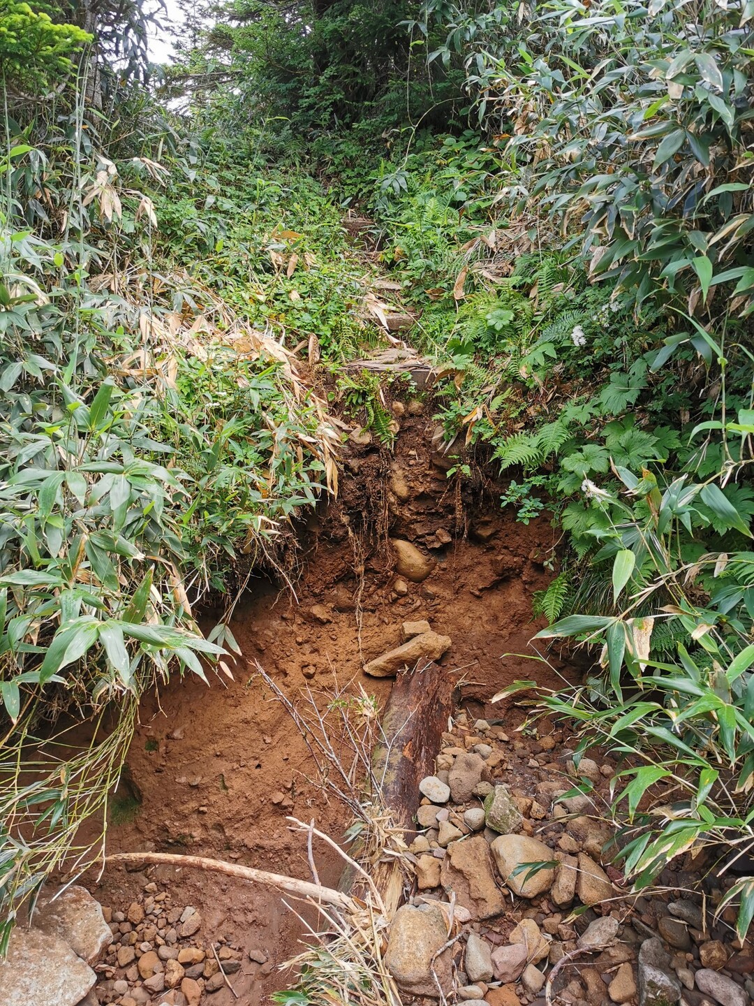 yama-yuさんの投稿したフィールドメモ | YAMAP / ヤマップ