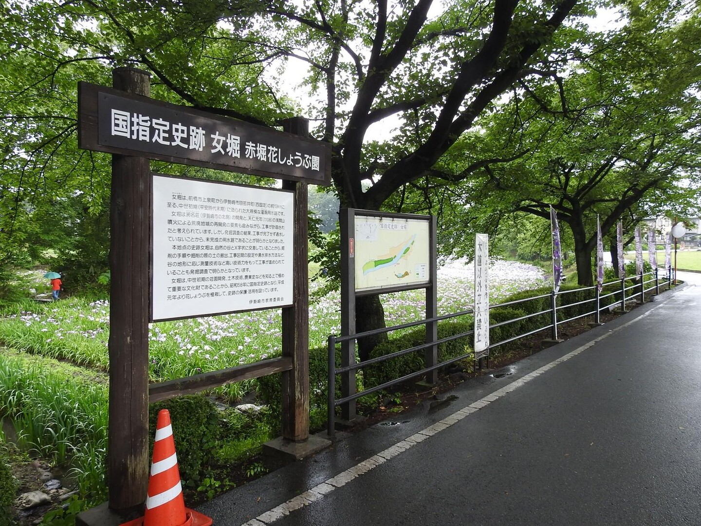 赤堀の花菖蒲園が見頃になりました。 / カフェオレさんのモーメント | YAMAP / ヤマップ