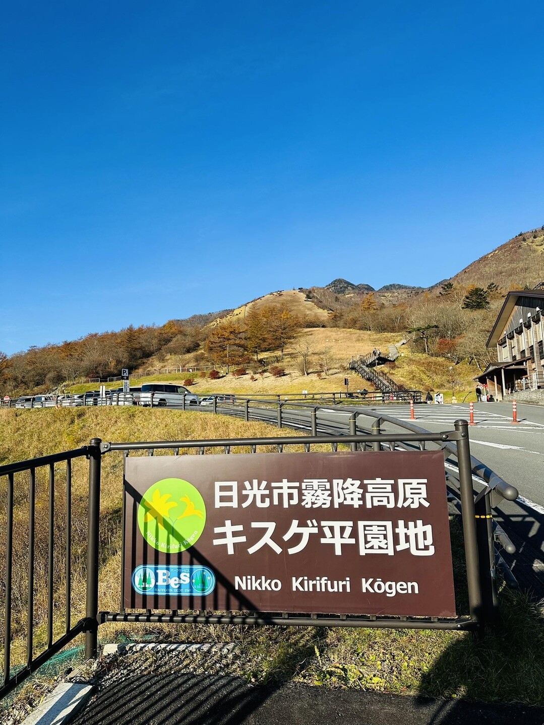 小丸山・丸山 2023-11-04 / Uraraさんの女峰山・赤薙山・大真名子山の活動日記 | YAMAP / ヤマップ