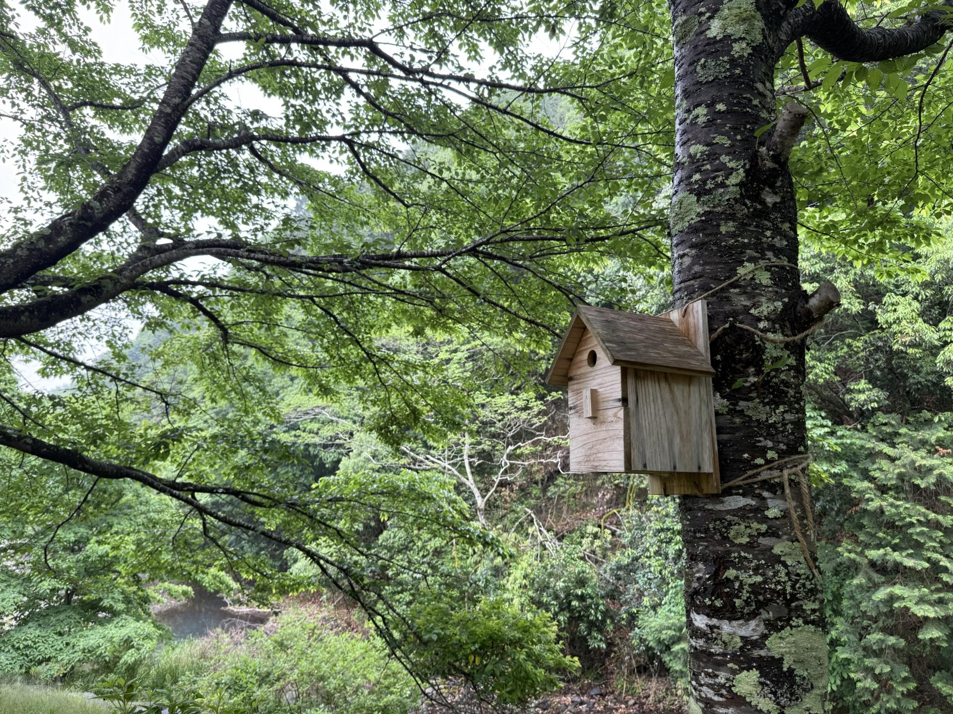 レイニーハイク / Haroldさんの犬ヶ岳・求菩提山の活動データ | YAMAP / ヤマップ