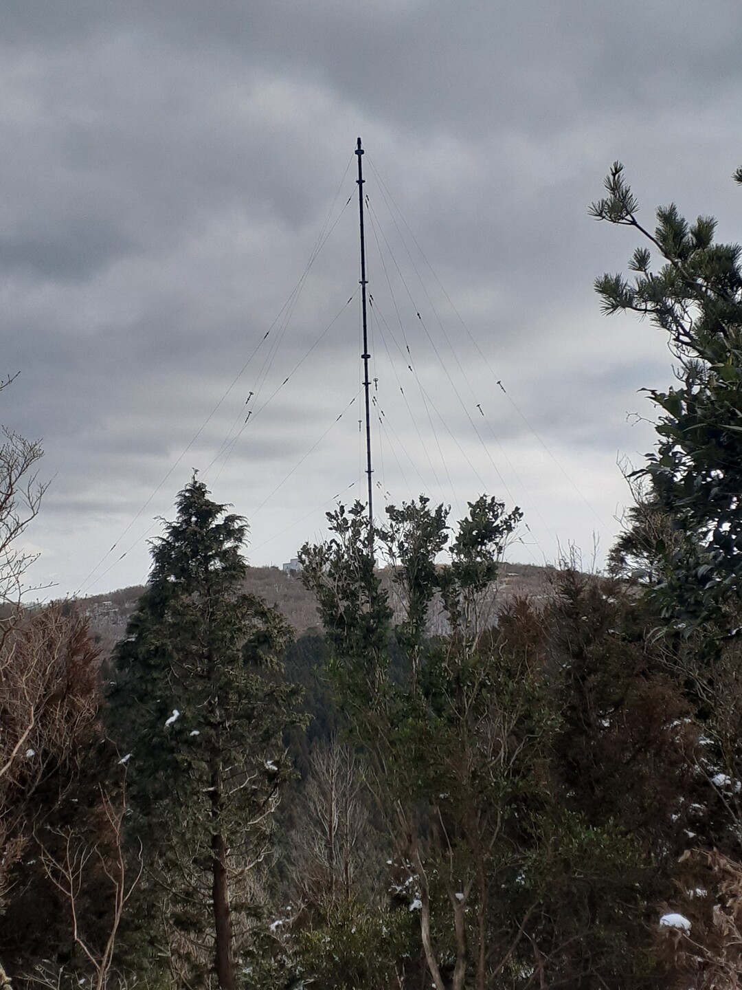 CASIOPEAさんの投稿したフィールドメモ | YAMAP / ヤマップ