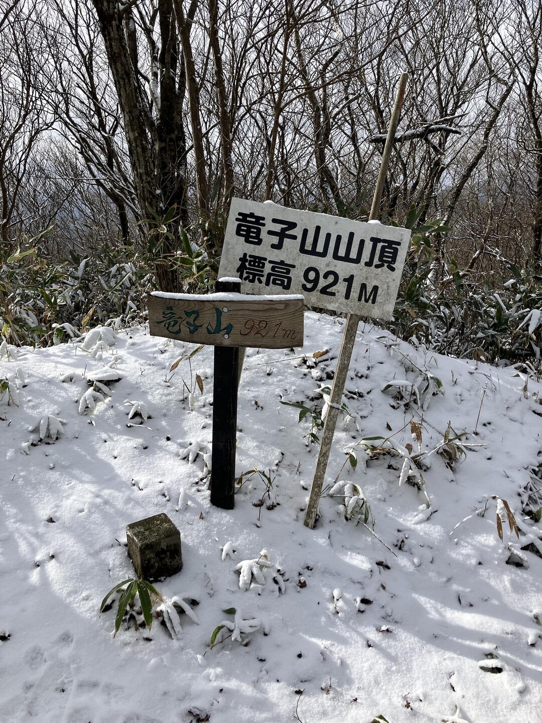 竜子山 / YS。さんの鎌倉岳の活動データ | YAMAP / ヤマップ