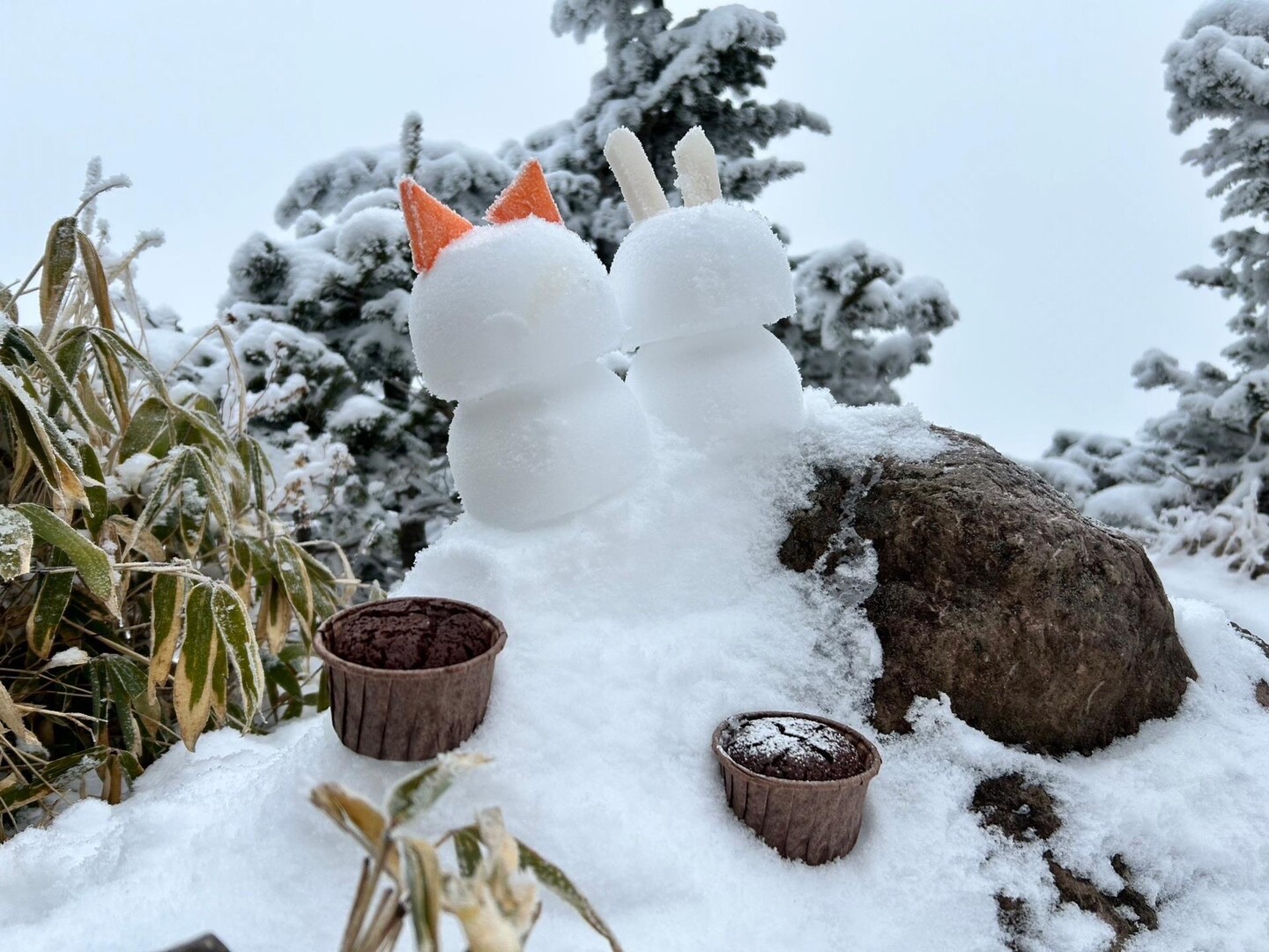 2023.12.03 ガトーショコラ見な... / y a n a g iさんのモーメント | YAMAP / ヤマップ