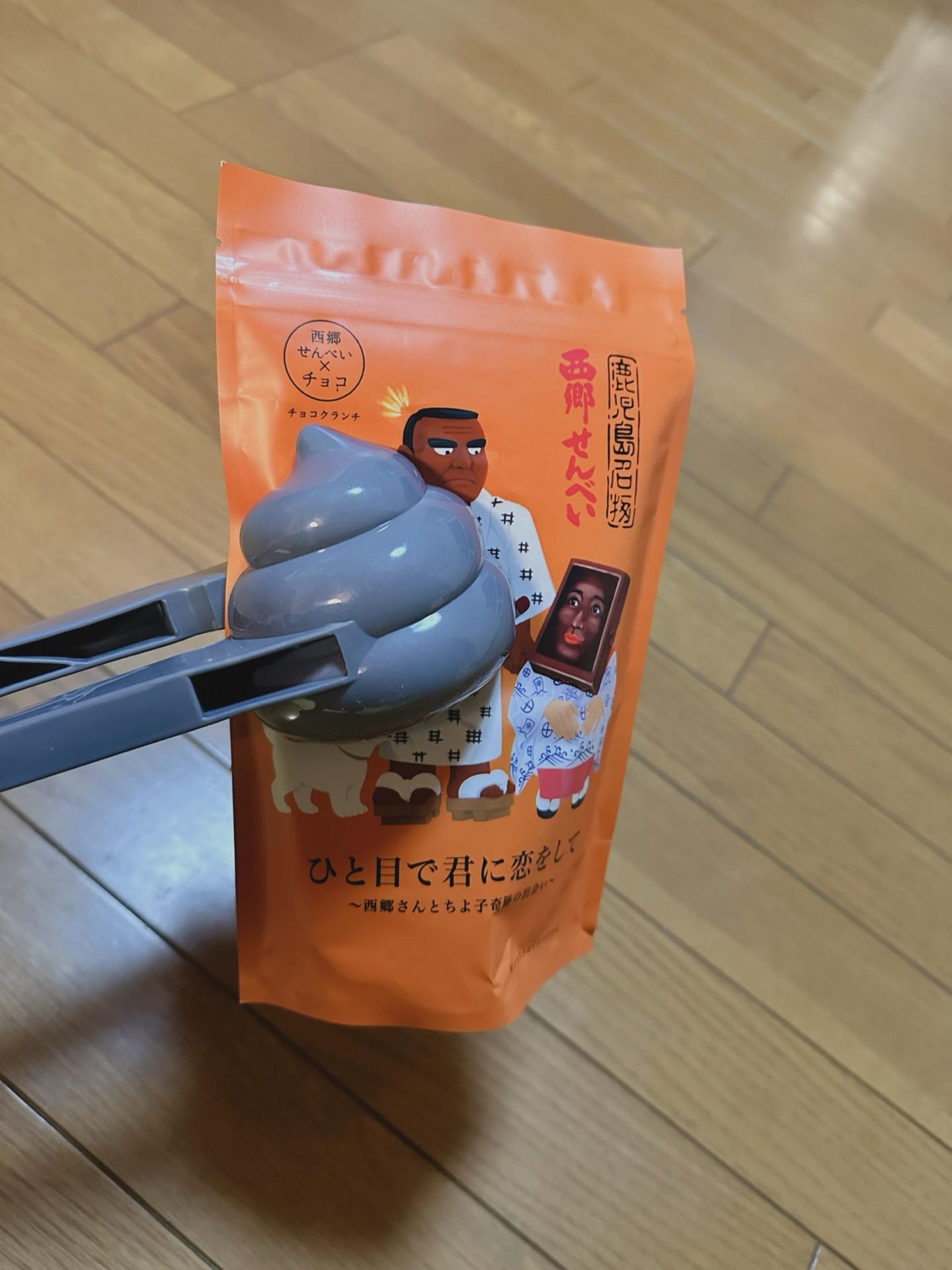 第2弾 届いたーっっ 雪うんこ型 雪... / naossanさんのモーメント | YAMAP / ヤマップ