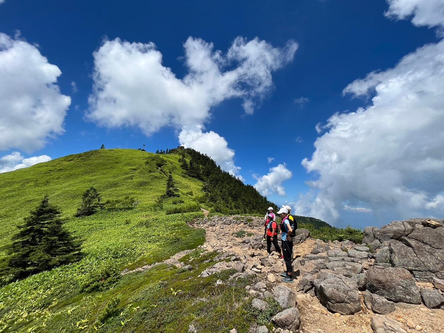 根子岳🐈(花の百名山)・四阿山(日本百名山) / nonnonさんの四阿山・根子岳の活動データ | YAMAP / ヤマップ