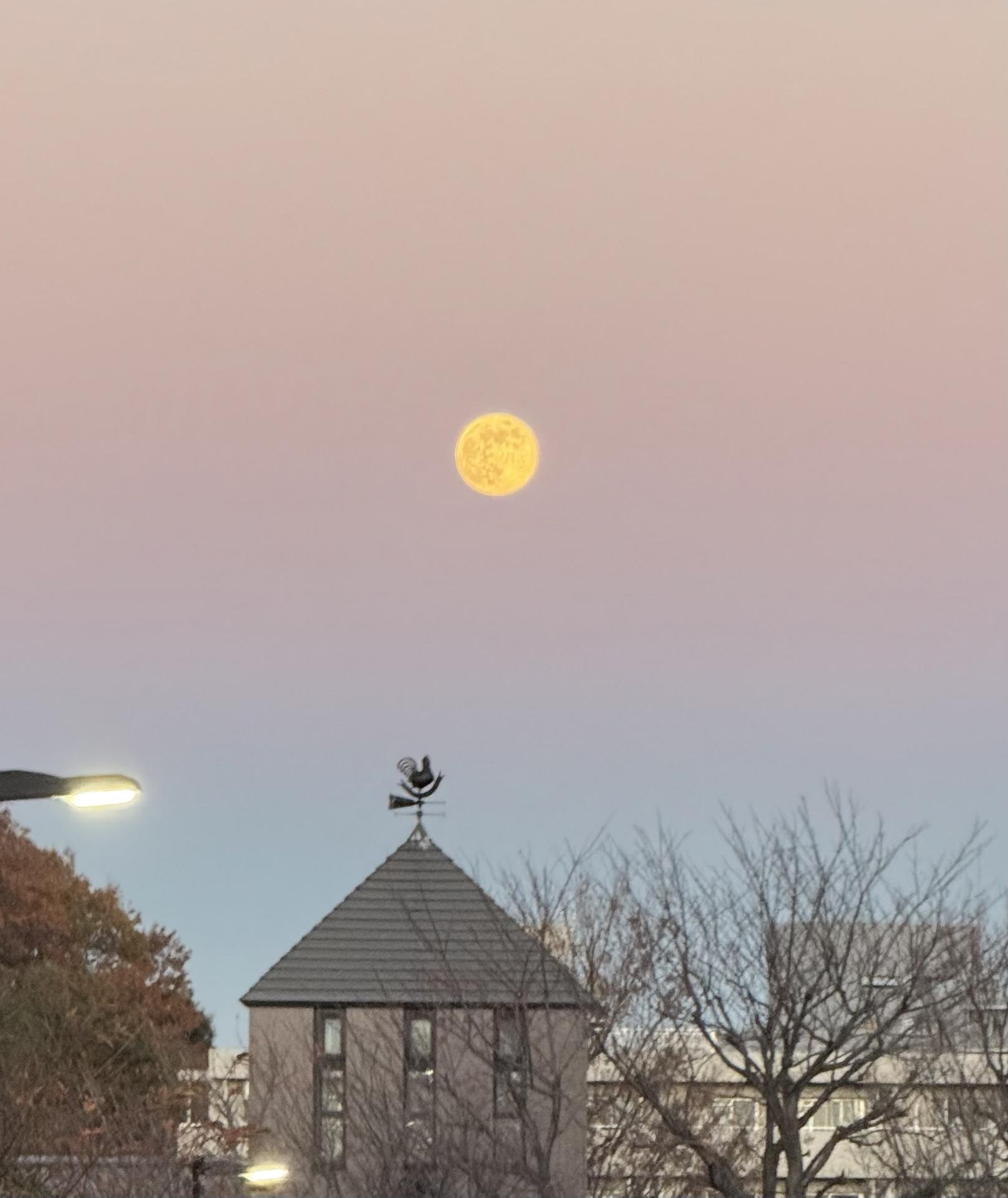 Cold Moon in 八王子 202... / sjさんのモーメント | YAMAP / ヤマップ