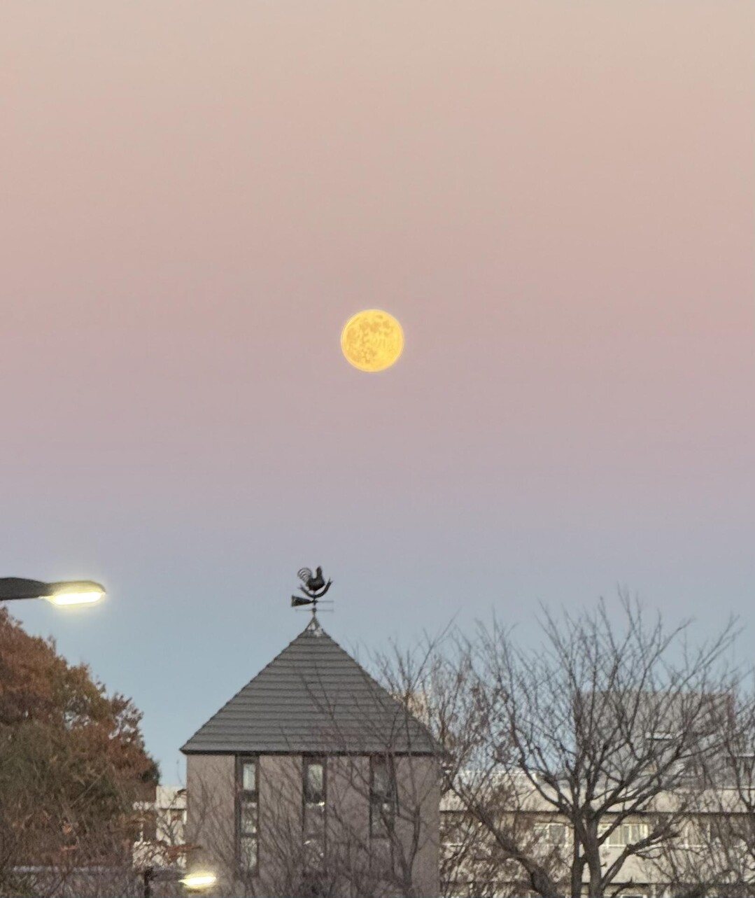 Cold Moon in 八王子 202... / sjさんのモーメント | YAMAP / ヤマップ