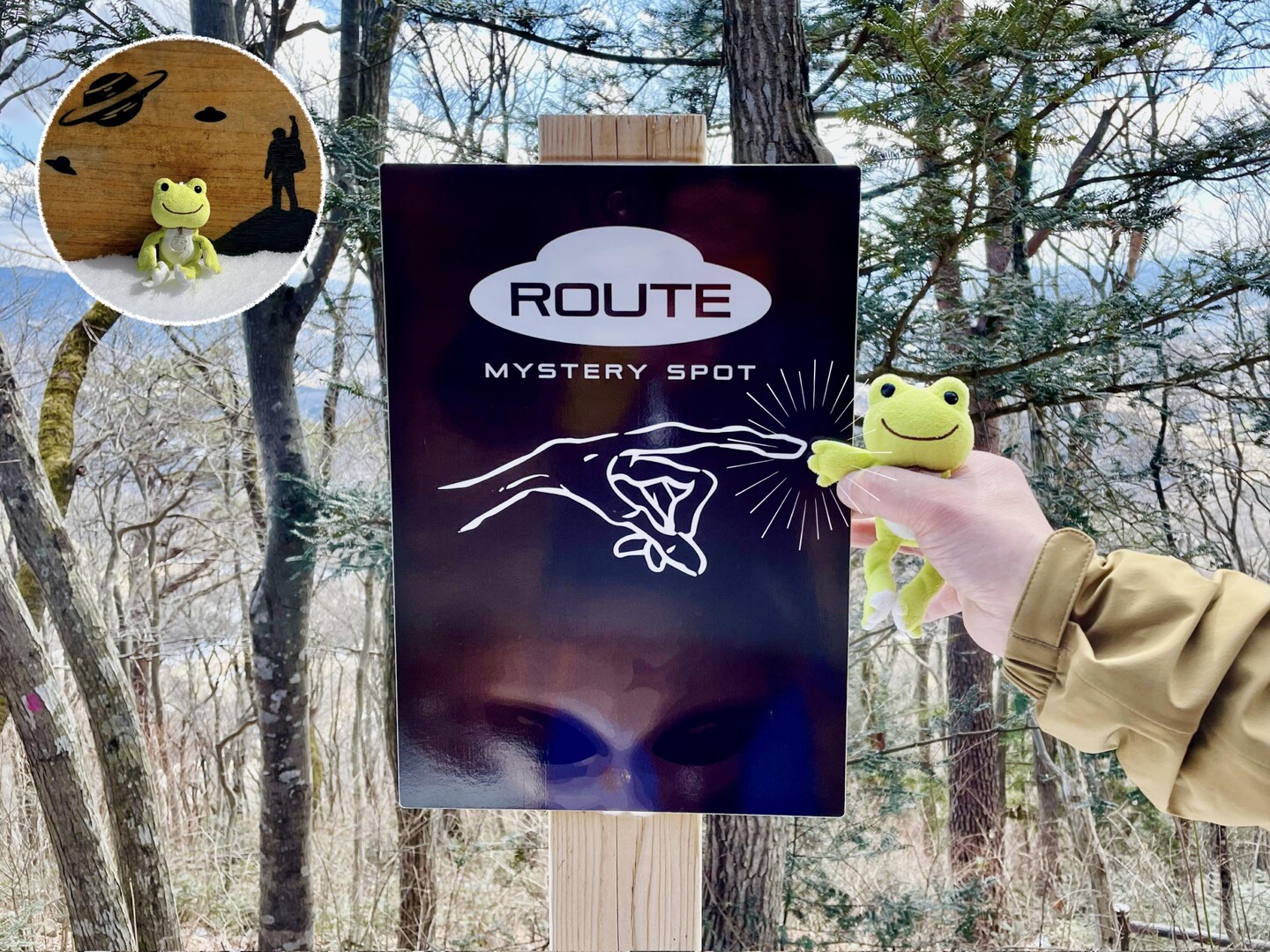 𝑼𝑭𝑶 (千貫森) / 𝙥𝙞𝙘𝙠𝙡𝙚𝙨さんの女神山の活動データ | YAMAP / ヤマップ