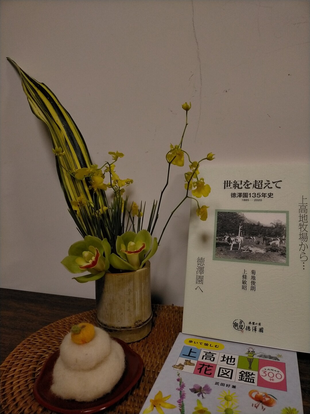 お正月の読書に「世紀を超えて…徳澤園13... / miwol-moonさんのモーメント | YAMAP / ヤマップ