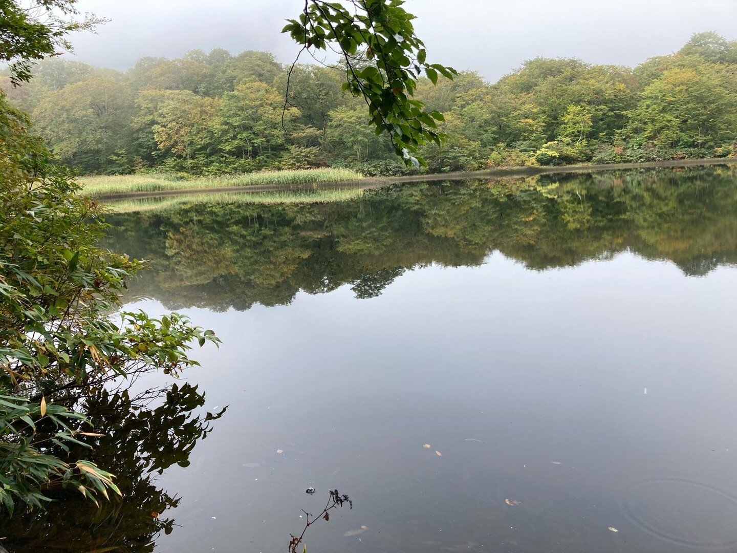 焼石に水 沢と沼の焼石岳 / pagdoggyさんの焼石岳・兎森山・鷲ヶ森山の活動データ | YAMAP / ヤマップ
